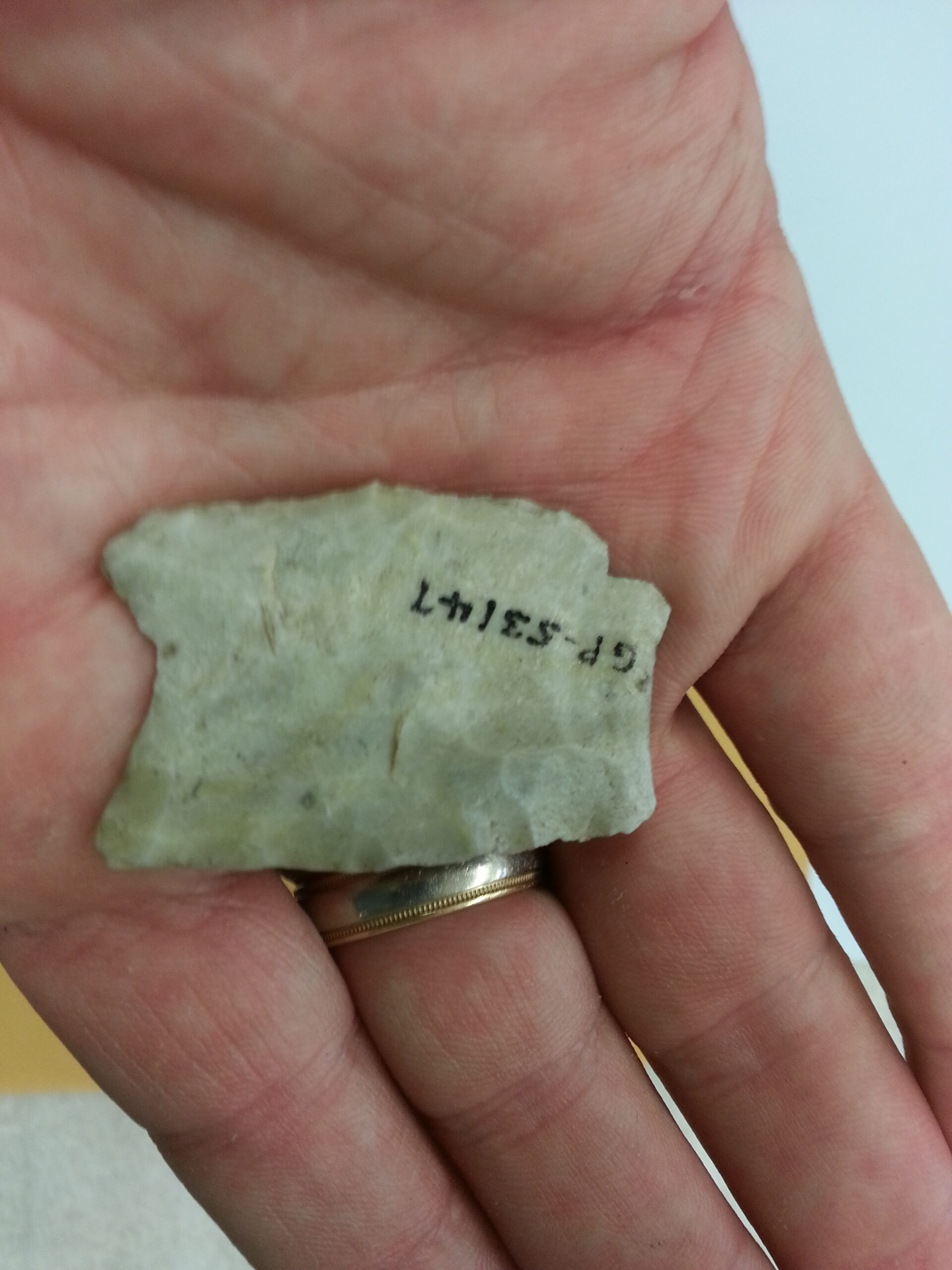 DESPERATION RANCH: THE CAVE CREEK MIDDEN SITE REVISITED – Arizona ...