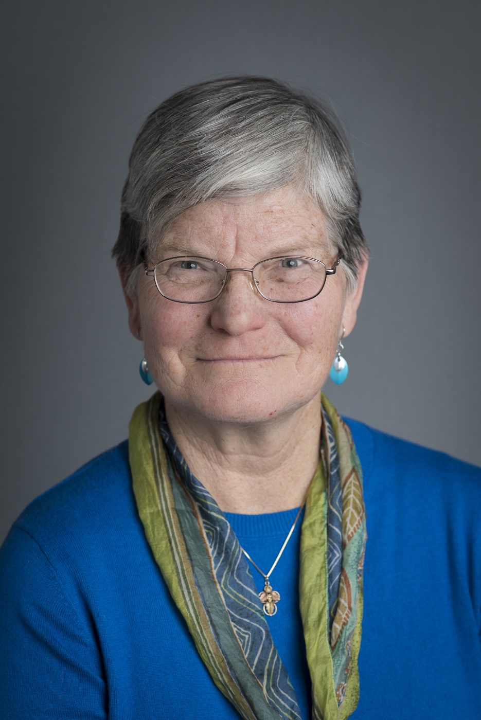 About – Arizona Archaeological and Historical Society